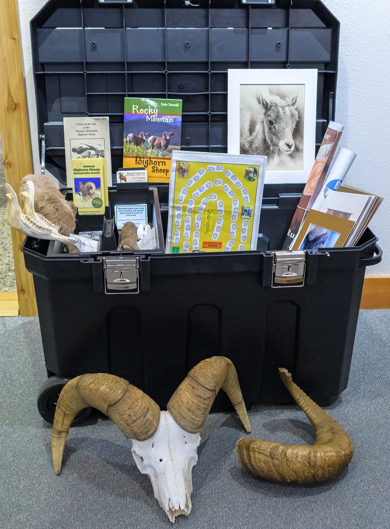 Education Programs and Exhibits at the National Bighorn Sheep Center